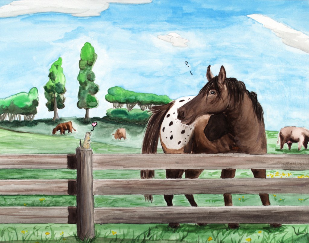 Prairie Kids' Adventures – a book series about life on the prairies